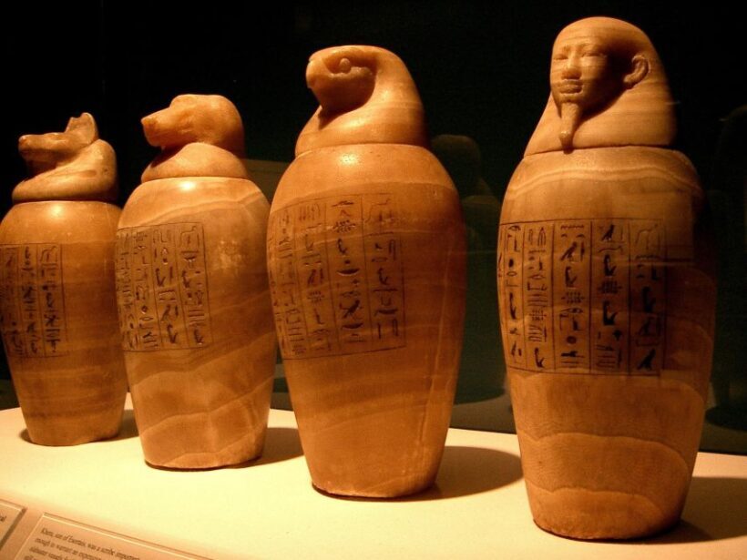 Turin: Guided Egyptian Museum Tour - The Sum Up
