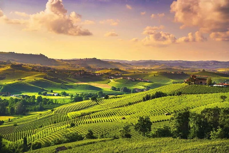 Turin: Langhe Wine Tour with Private Transfers and Lunch - A Detailed Look at the Tour Experience