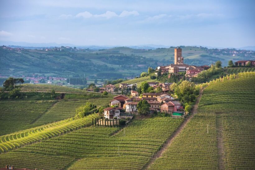 Turin: Private Barolo Wine Region Day Trip with Lunch - Exploring the World of Nebbiolo at a Famed Winery