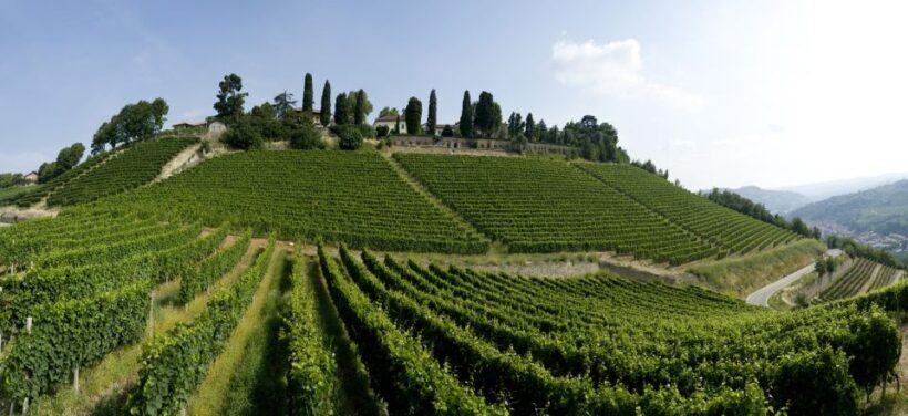 Turin: Private Barolo Wine Region Day Trip with Lunch - Who is this tour best suited for?