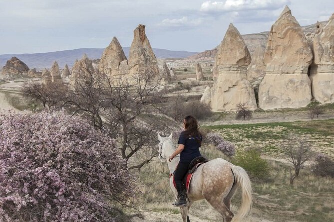 Turkey 8 Day Package - Istanbul, Cappadocia, Ephesus, Pamukkale - Accessibility and Amenities