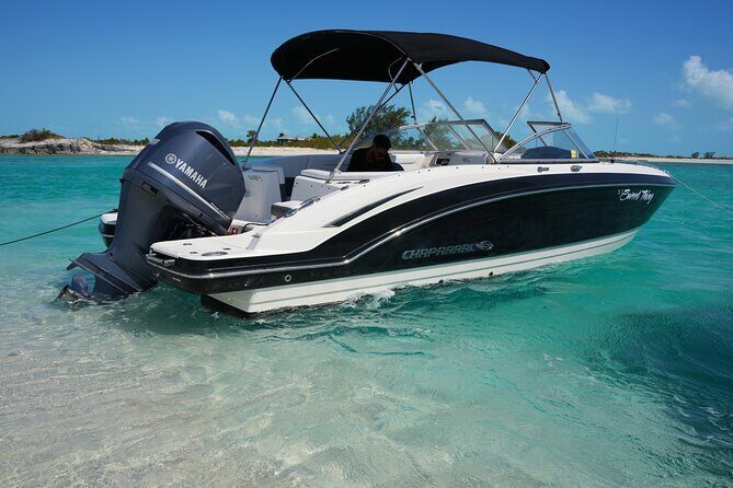 Turks and Caicos Island Snorkeling Adventure - The Full Experience: What You Can Expect