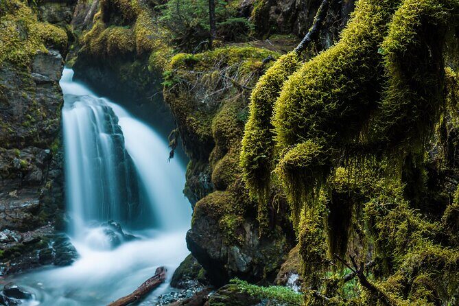 Turnagain Arm Highlights Photo Tour - Turnagain Arm Highlights Photo Tour: A balanced, behind-the-scenes look