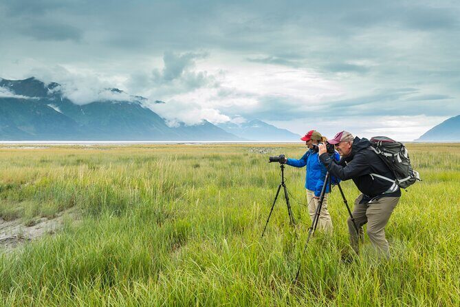 Turnagain Arm Highlights Photo Tour - Key Points