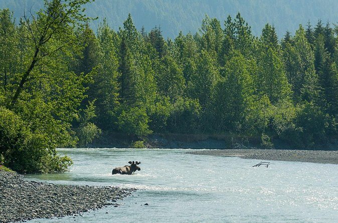 Turnagain Arm Highlights Photo Tour - Frequently Asked Questions