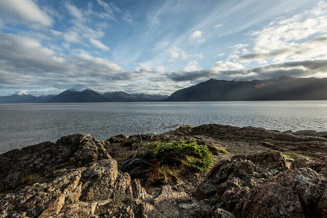 Turnagain Arm Sightseeing Experience and Wildlife Tour - An Overview of the Experience