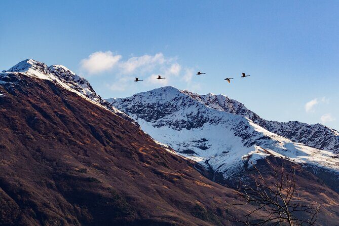 Turnagain Arm Sightseeing Experience and Wildlife Tour - Analyzing the Value