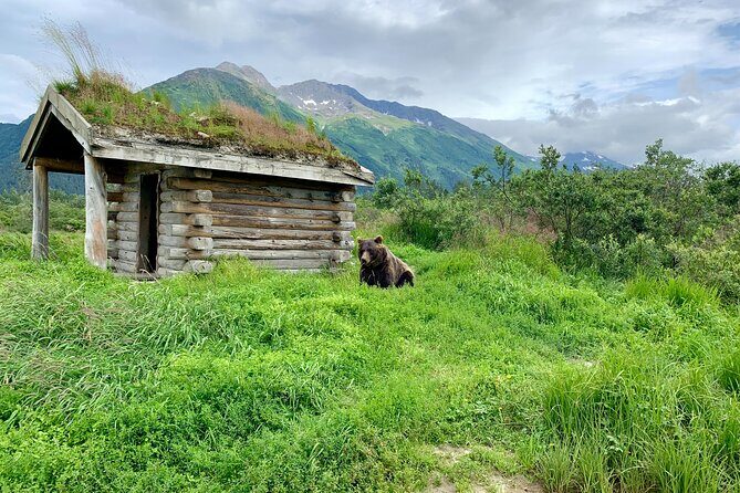 Turnagain Arm Sightseeing Experience and Wildlife Tour - FAQs