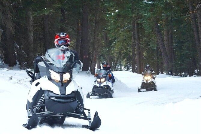 Turpin Meadow Ranch Snowmobiling in Jackson Hole - What to Expect During the Tour