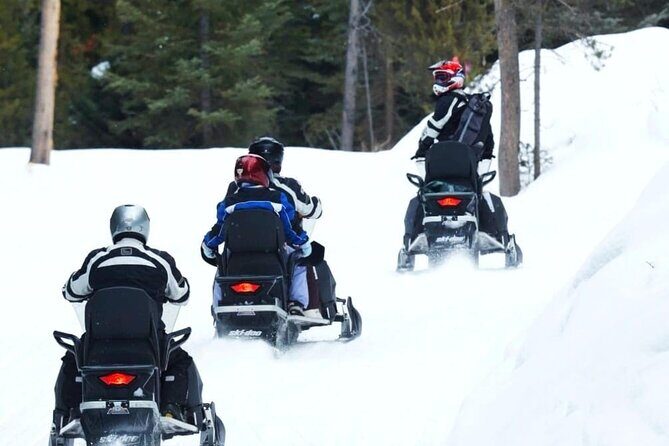 Turpin Meadow Ranch Snowmobiling in Jackson Hole - The Value of This Tour