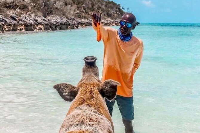 Turquoise Experience -Exuma Cays -Southern Exuma Private Charter - Introduction: What’s Special About This Tour?