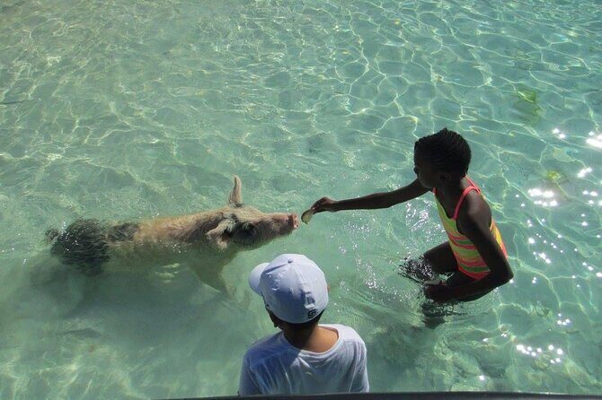 Turquoise Experience -Exuma Cays -Southern Exuma Private Charter - The Sum Up: Who Is This Tour Best For?