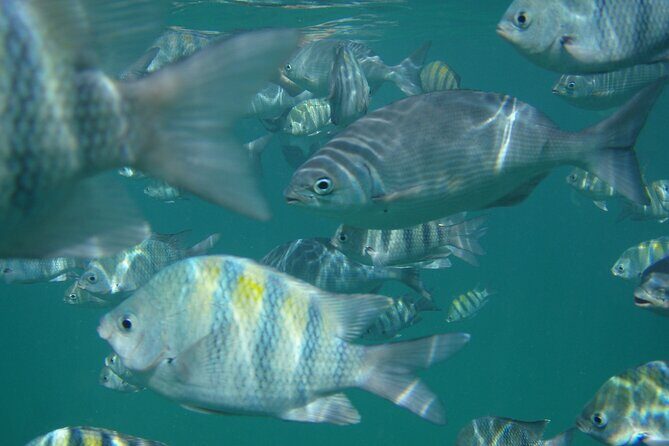 Turtle and Shipwreck adventure on 57 ft catamaran - What We Love About This Tour
