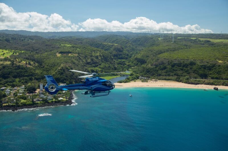 Turtle Bay: North Shore Helicopter Tour - The Final Verdict