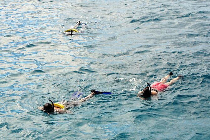 Turtle Canyon Snorkel Adventure in Waikiki - Deep Dive into the Marine Environment