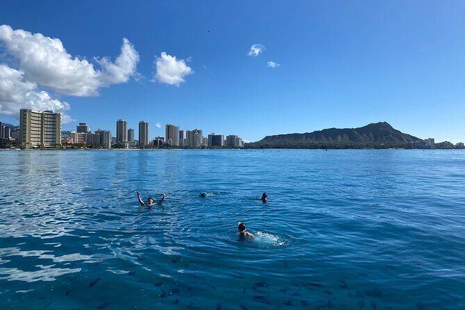 Turtle Canyon Snorkel Adventure in Waikiki - Practical Tips for a Smooth Trip