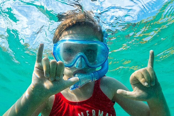 Turtle Canyon Waikiki Snorkel Adventure - Positive Customer Experiences