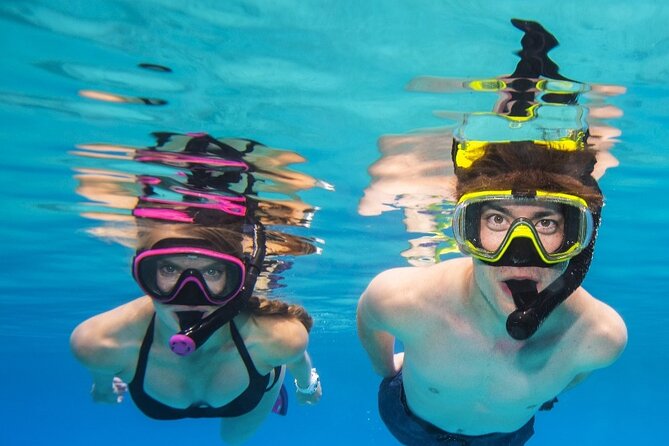 Turtle Canyon Waikiki Snorkel Adventure - Recommendations for Future Participants