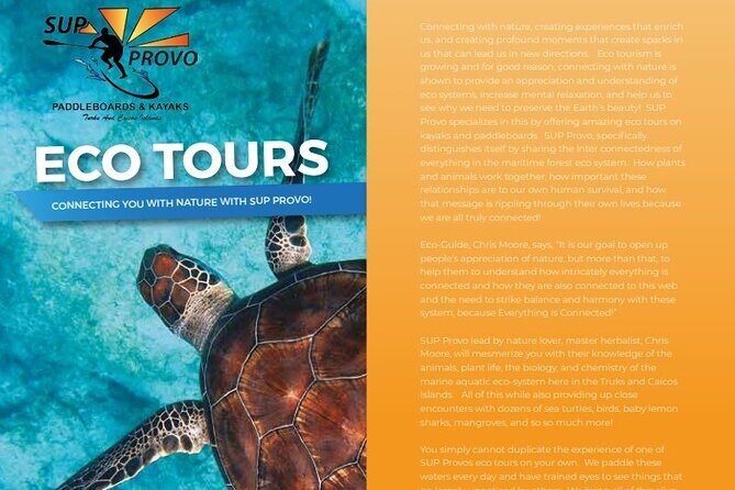 Turtle Eco Tour on Stand-Up Paddleboards or Kayaks into the National Marine Park - An In-Depth Look at the Tour