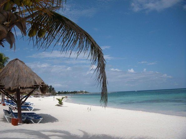 Turtle Encounter Private Tour  Swim with Sea Turtles & Cenote - Key Points