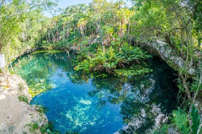 Turtle Encounter Private Tour  Swim with Sea Turtles & Cenote - The Value for Money