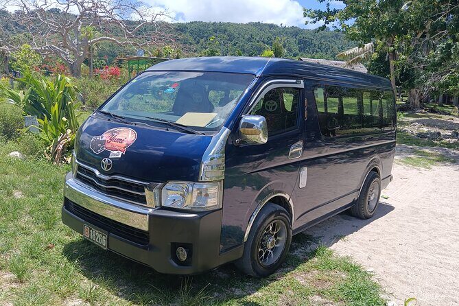 Turtle Encounter with Yumi Tours - The Starting Point: Easy Access at Back To Eden
