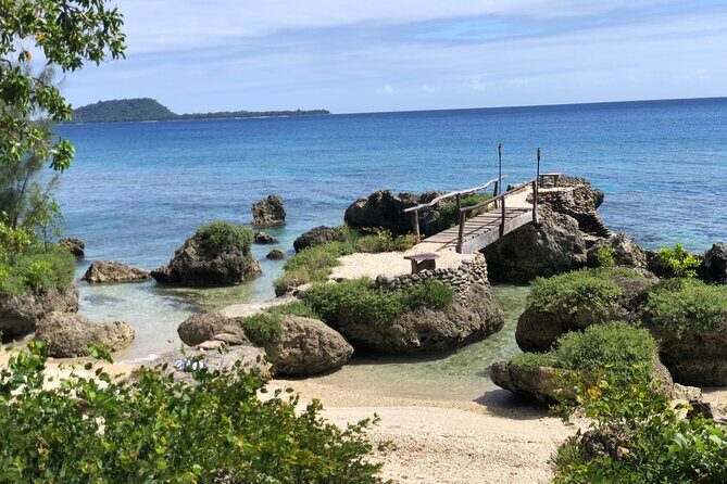 Turtle Encounter with Yumi Tours - The Reviews: Authentic Voices