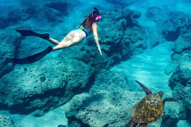 Turtle Gardens West Maui Snorkel Tour - The Balance of Value: Is It Worth It?