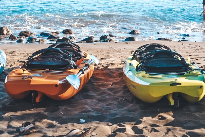 Turtle Gardens West Maui Snorkel Tour - Final Thoughts: Who Should Sign Up?