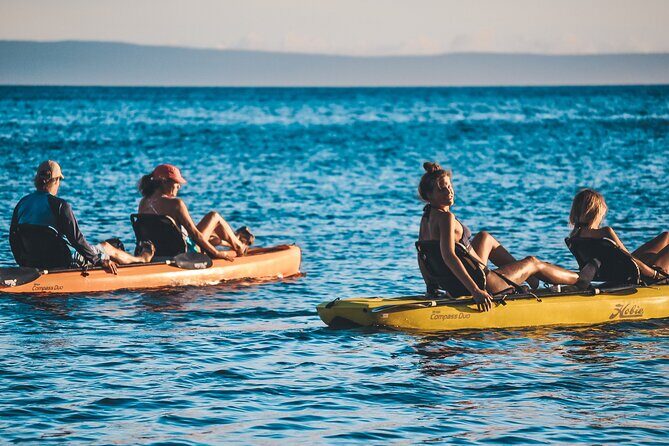 Turtle Gardens West Maui Snorkel Tour - FAQs