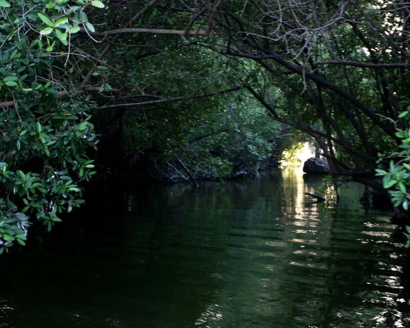*Turtle Hatching + 3 Palos Lagoon Boat Ride & Crocs Farm - Authentic Experiences Based on Reviews