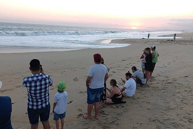 Turtle Release at Escobilla Beach - Authenticity and Local Impact