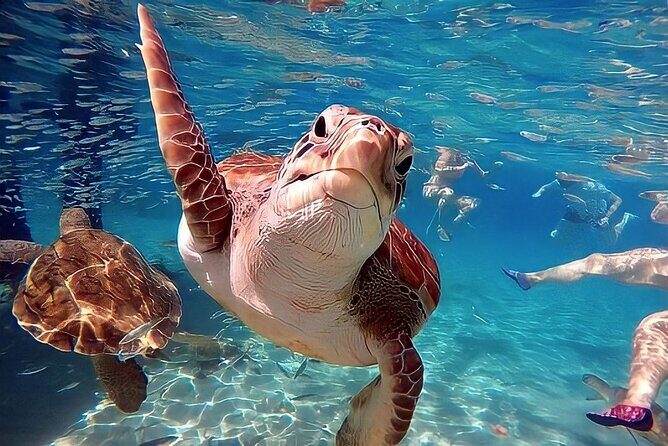 Turtle Sightseeing at Akumal & Underground Caves Tour - The Experience: What to Expect at Each Stop