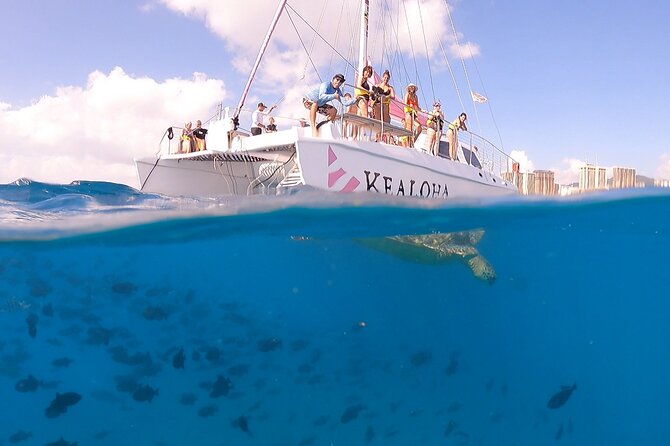 Turtle Snorkeling Boat Tour and Adventure in Waikiki - FAQ