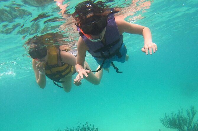 Turtle Snorkeling in Akumal - Analyzing the Value