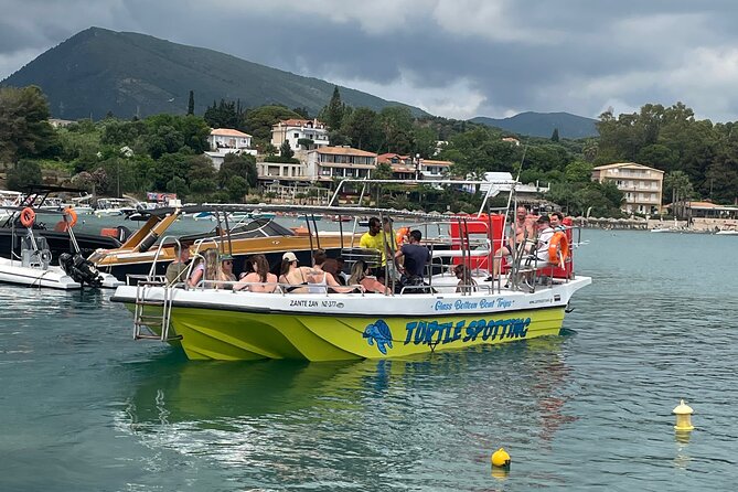 Turtle Spotting Cruise in Zakynthos on a Glass-Bottom Vessel - Who Should Consider This Tour?