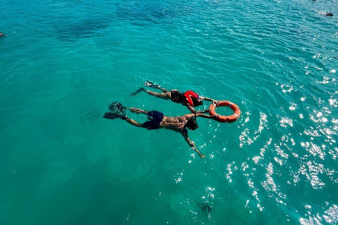 Turtle Spotting Snorkel Malmok And Tres Trapi - Analyzing the Value