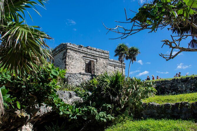 Turtle Swim & Tulum Ruins! Round Transportation from Playa del Carmen - FAQ