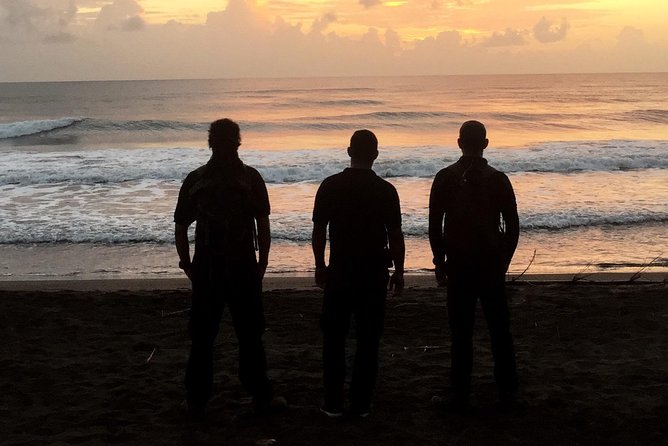 Turtle Tour - Tour Experience