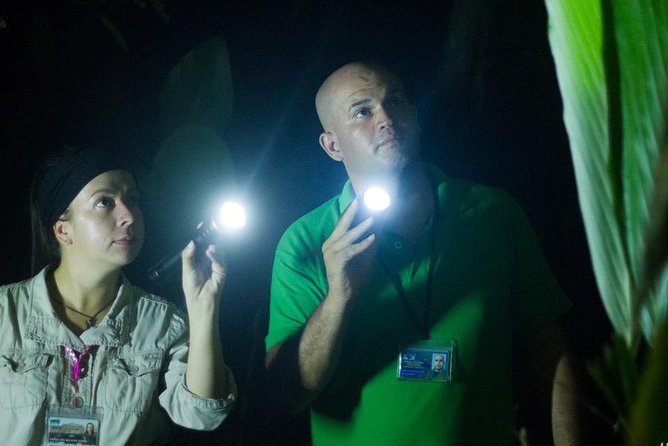 Turtle Tour - Traveler Reviews