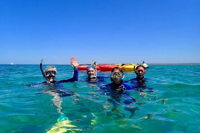 Turtle Tour - Ningaloo Reef Half Day Sea Kayak and Snorkel Tour - Detailed Itinerary Breakdown