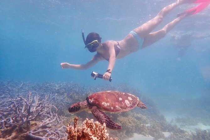 Turtle Tour - Ningaloo Reef Half Day Sea Kayak and Snorkel Tour - Who Is This Tour Best For?