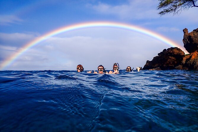 Turtle Town Clear Kayak & Snorkel Tour (10:30am-1pm) - The Sum Up: Who Will Love the Turtle Town Kayak & Snorkel Tour