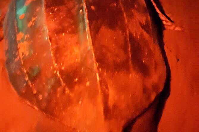 Turtle Watching - Final Thoughts on Value and Suitability