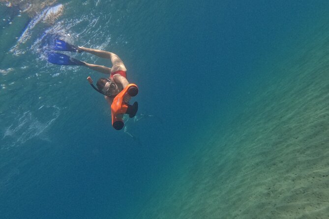 Turtle Watching in Cyprus - Recommendations for Participants