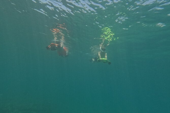 Turtle Watching in Cyprus - Safety Measures and Considerations