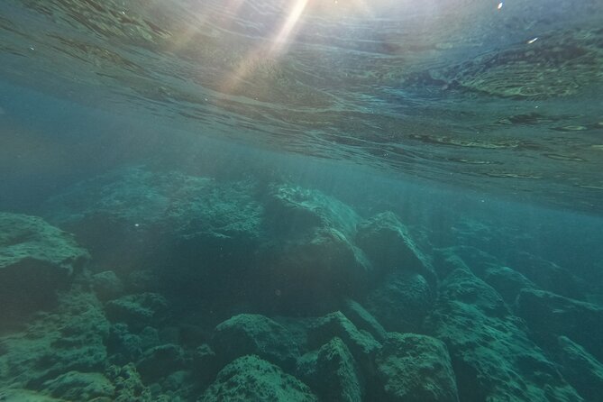 Turtle Watching in Cyprus - The Sum Up