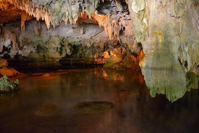 Turtles and Cenote from Riviera Maya - Authentic Experiences and Practical Tips