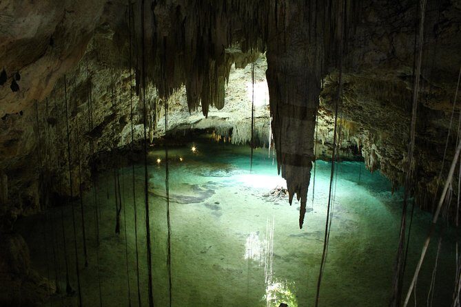 Turtles and Cenote snorkeling activity from Riviera Maya - Equipment, Snacks, and Additional Costs