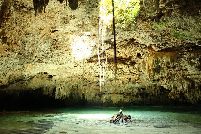 Turtles and Cenote snorkeling activity from Riviera Maya - Who Will Love This Tour?